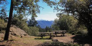 31 Incredible Campgrounds Within 2 Hours of Sacramento [Interactive Map]