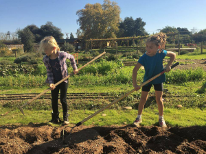 Your Guide to Soil Born Farms, an Urban Farm Near Sacramento