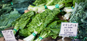 Your Guide to Soil Born Farms, an Urban Farm Near Sacramento