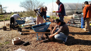 Your Guide to Soil Born Farms, an Urban Farm Near Sacramento