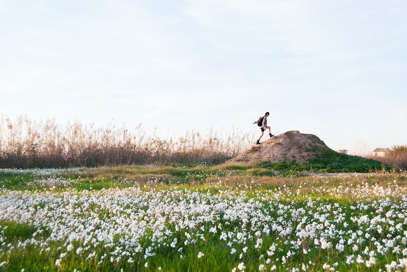 The Best Spring Wildflower Hikes Within 2 Hours of Sacramento