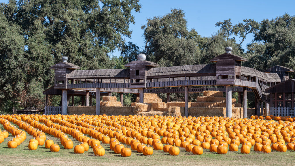 Ready for Fright Night? Halloween Events in the Greater Sacramento Area