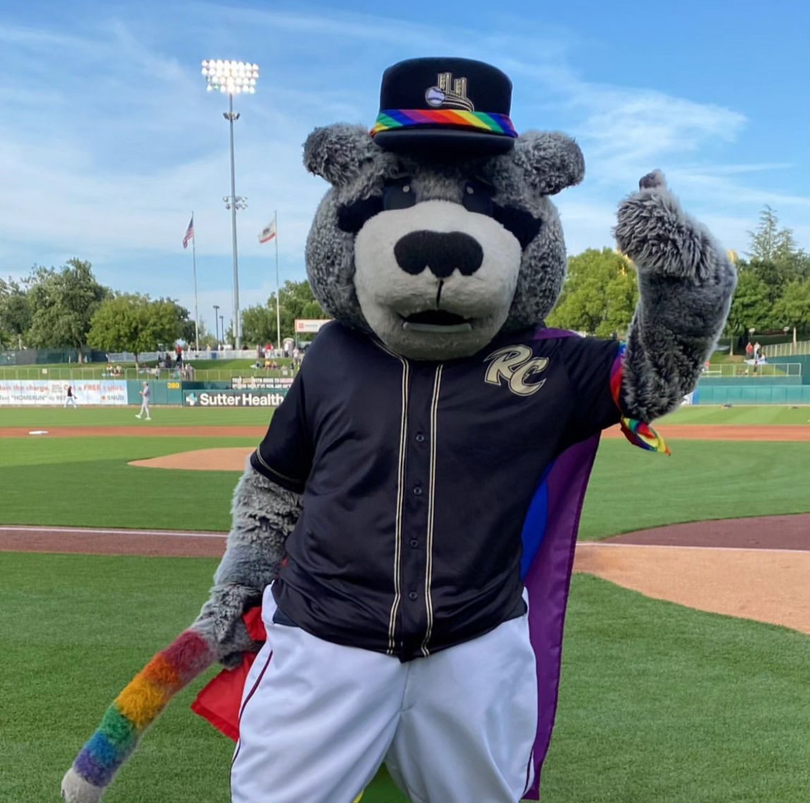 Everything You Need to Know about the Sacramento River Cats